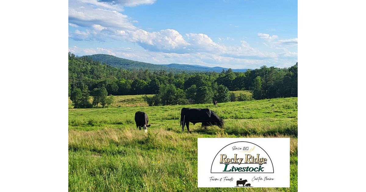 All vendors :: Rocky Ridge Livestock LLC - Order Meat Online from Local ...